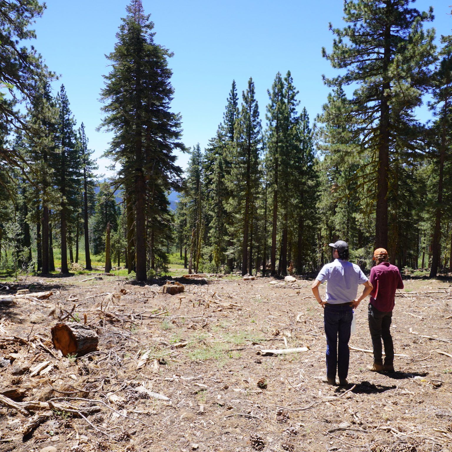 Innovative Finance for National Forests - U.S. Endowment for Forestry ...