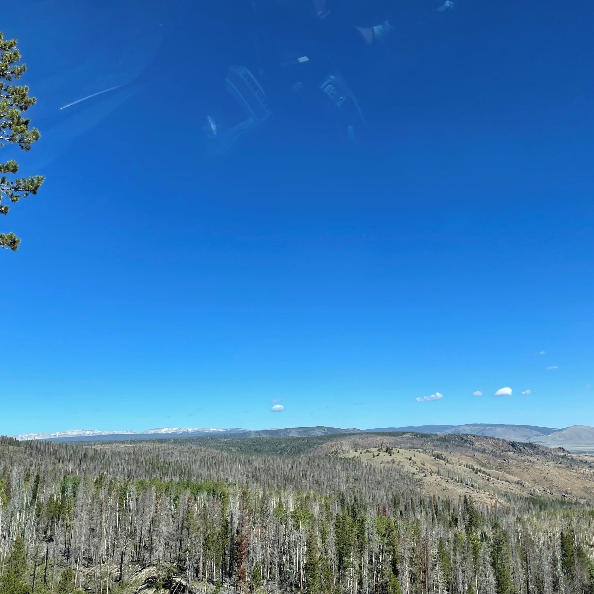 Innovative Finance for National Forests - U.S. Endowment for Forestry ...
