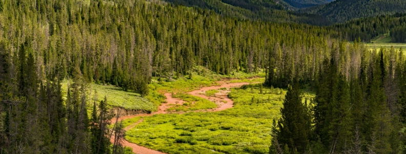 Grant Program Opens to Address National Forest System Challenges ...