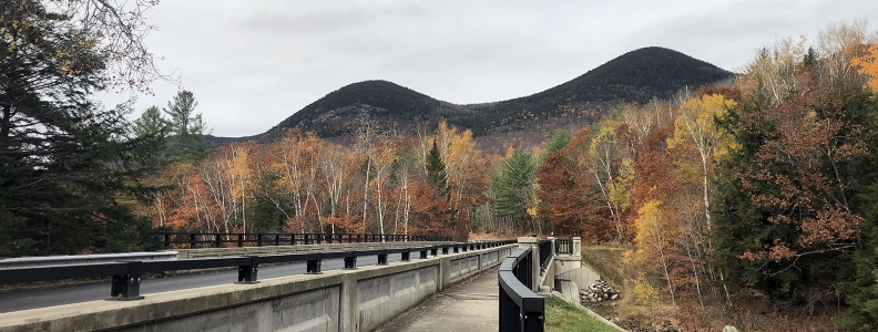 Grant Program Opens to Address National Forest Challenges through ...