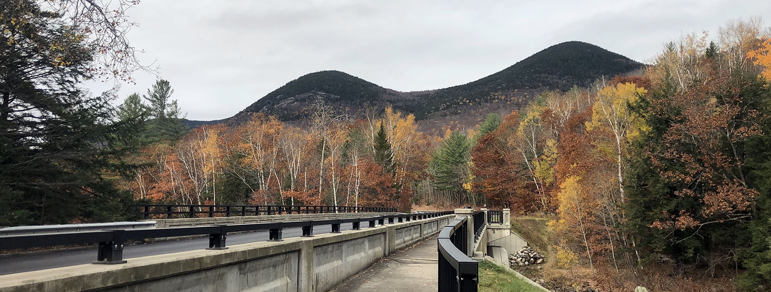 Grant Program Opens to Address National Forest Challenges through ...